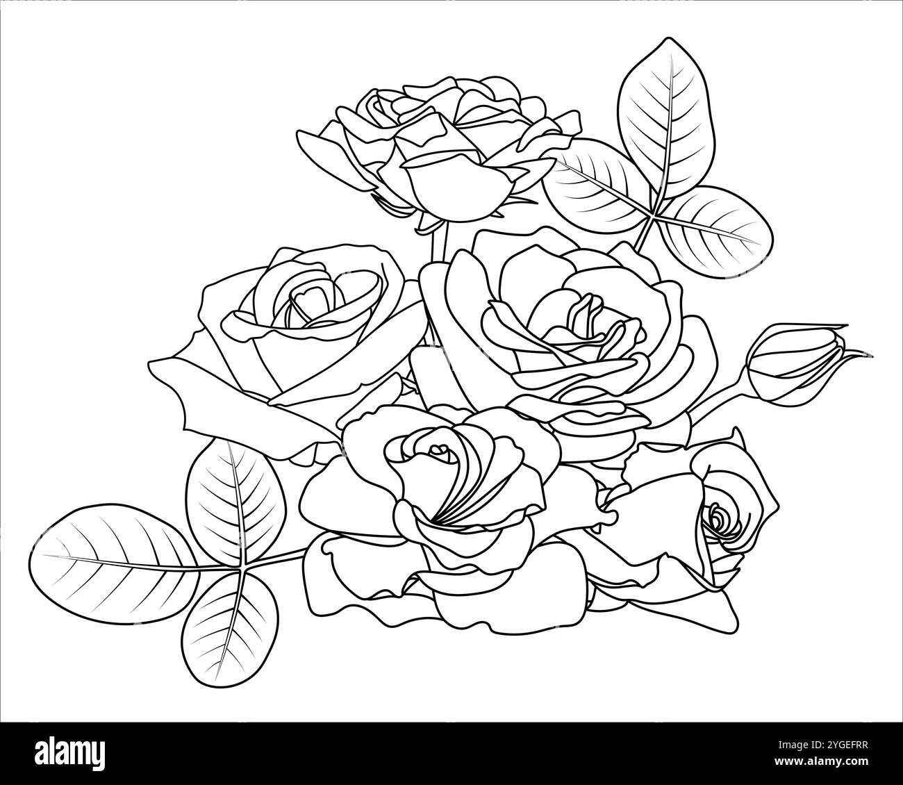 Decorative frame roses leaves Black and White Stock Photos & Images - Alamy