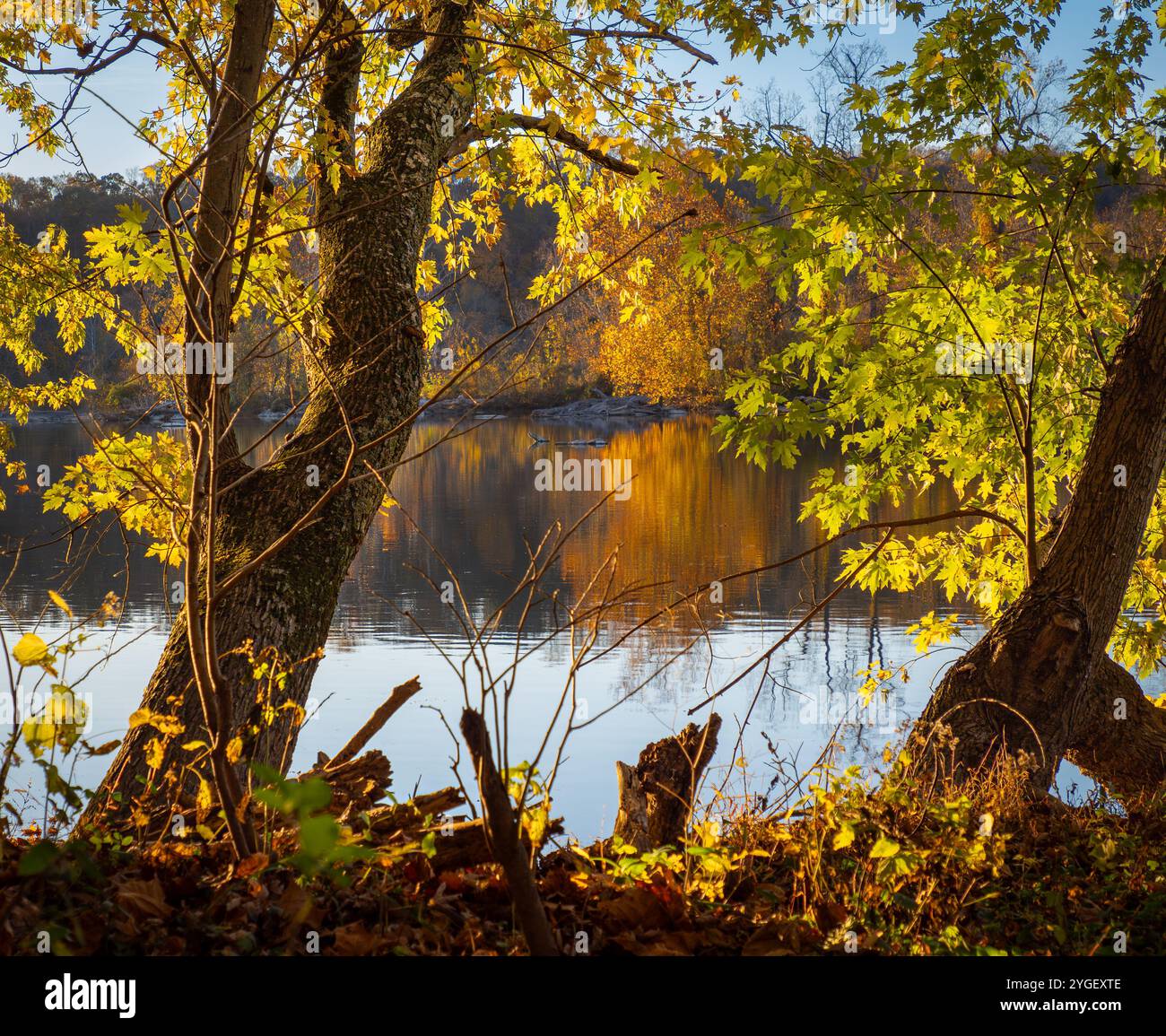 Potomac river trail hi-res stock photography and images - Alamy