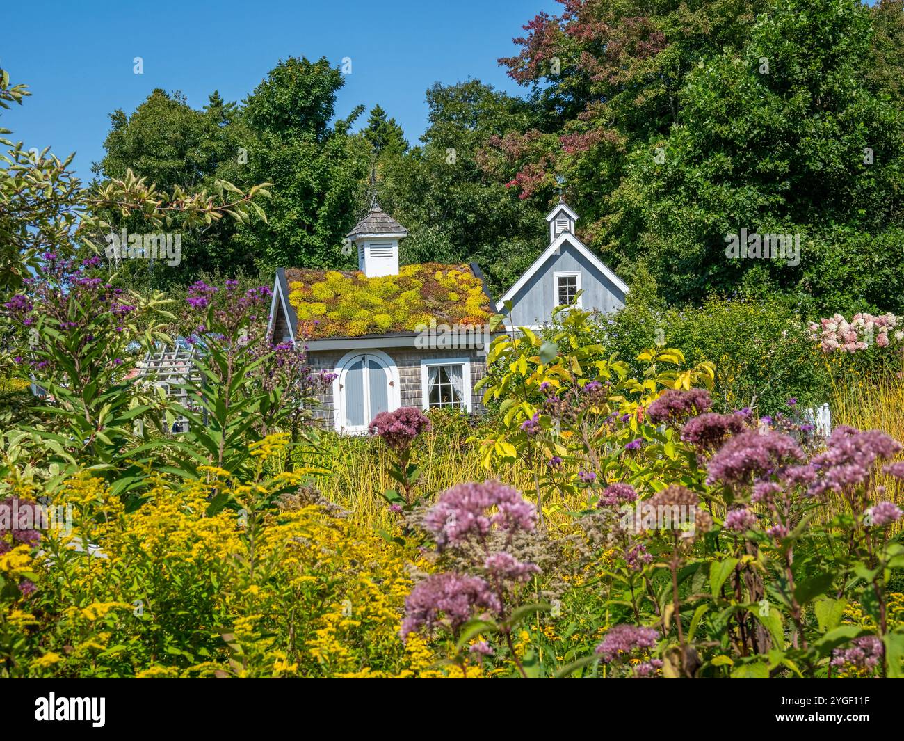 Fall in the Coastal Maine Botanical Gardens in Boothbay Harbor Maine ...