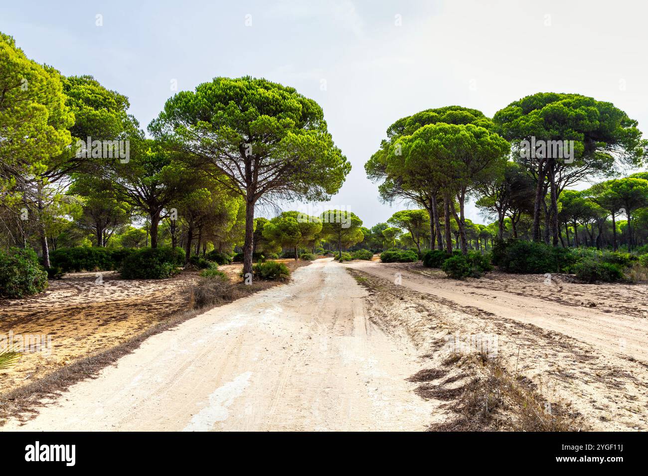 Cadiz province andalusia spain hi-res stock photography and images - Alamy