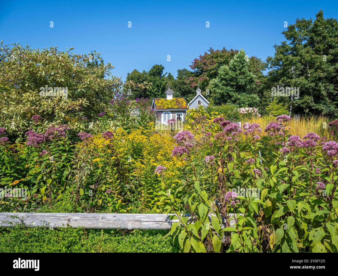 Fall in the Coastal Maine Botanical Gardens in Boothbay Harbor Maine ...