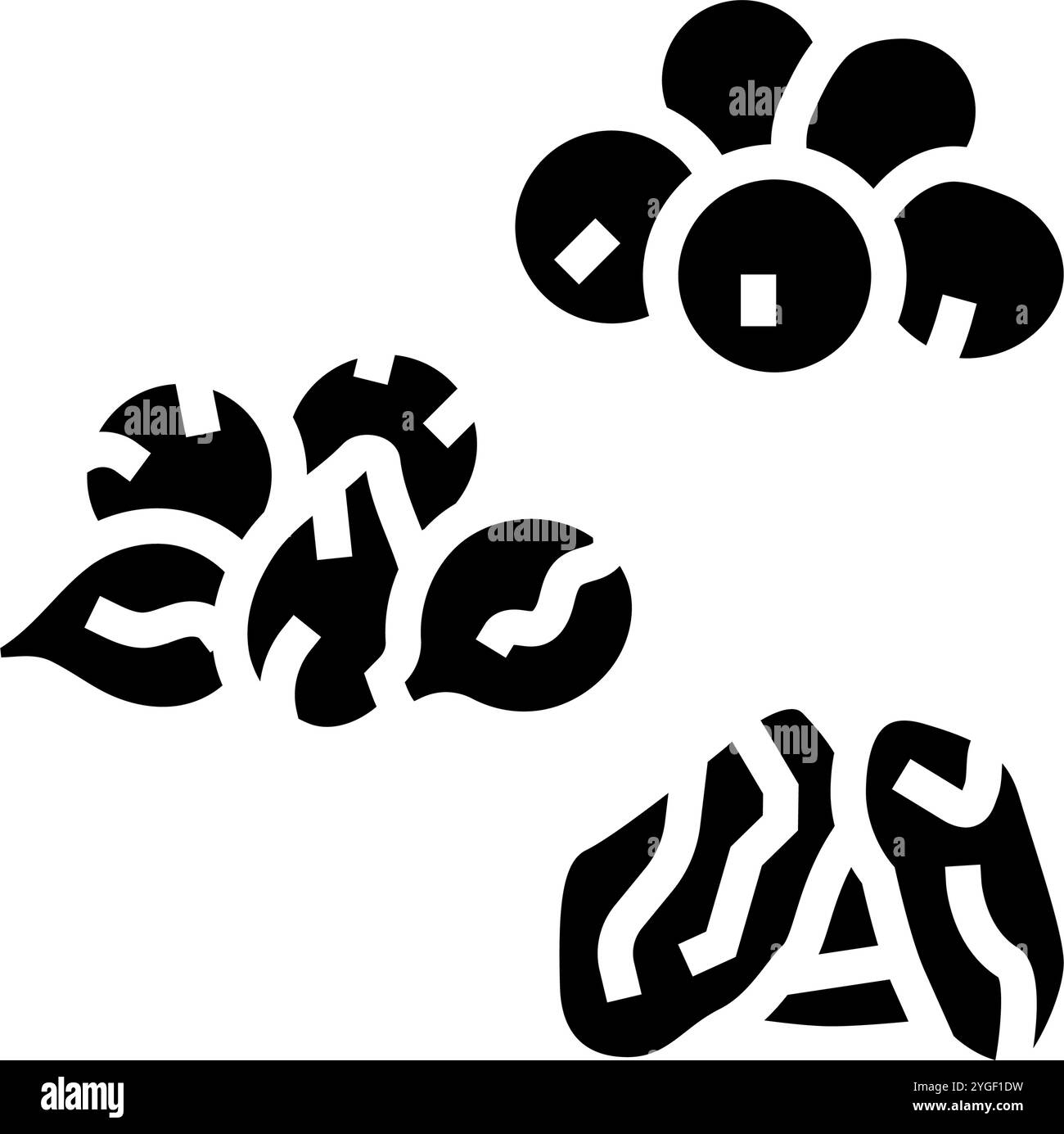 triphala ayurveda glyph icon vector illustration Stock Vector Image ... triphala ayurveda glyph icon vector illustration Stock Vector Image ...