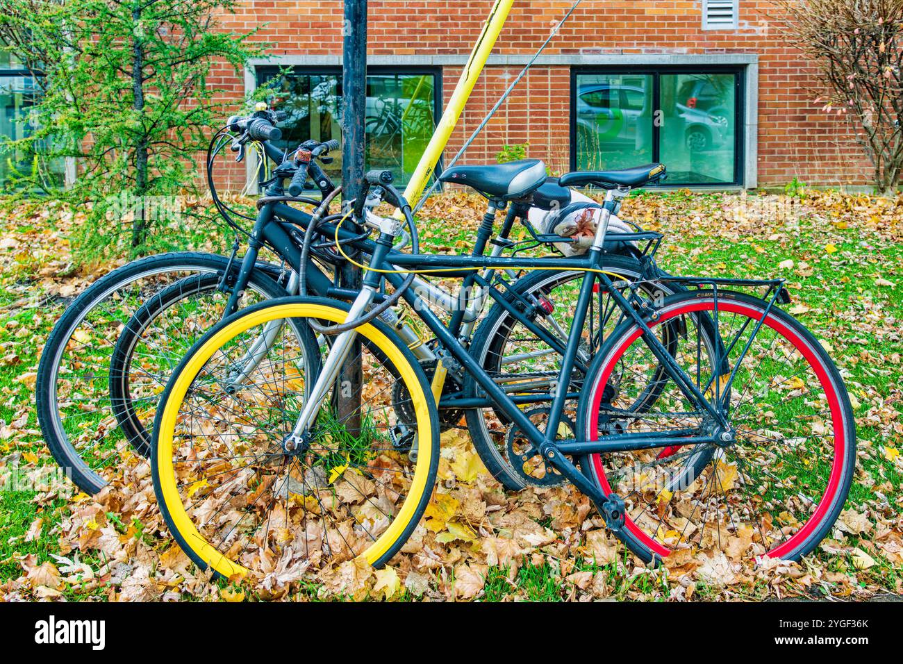 Bicycles locked together Stock Photo - Alamy