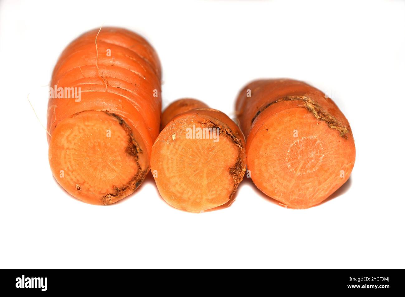 Carrot fly hi-res stock photography and images - Alamy