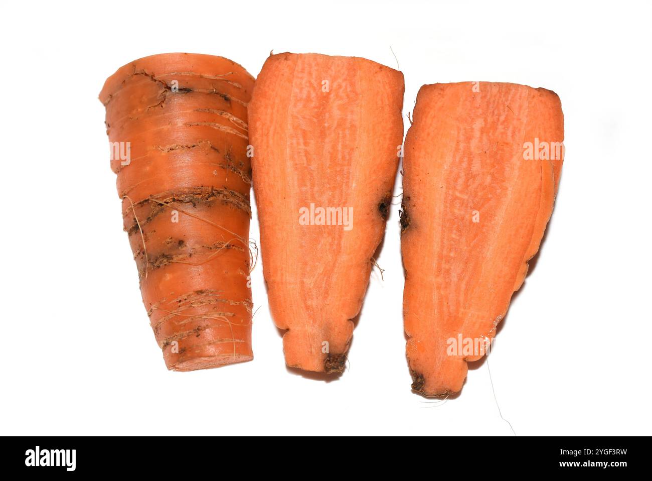 Plant root damage hi-res stock photography and images - Alamy