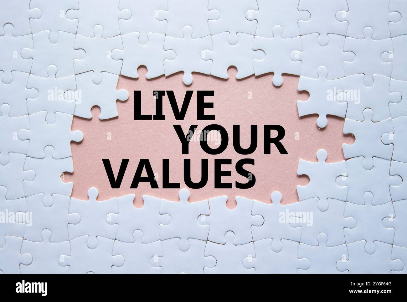 Live your values symbol. Concept words Live your values on white puzzle ...