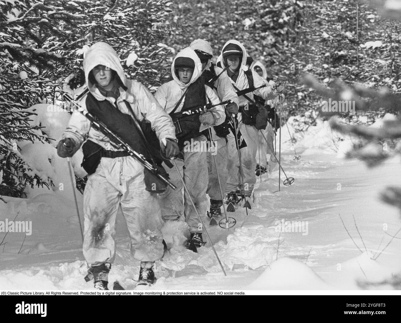 Swedish soldiers 1982. A group of soldiers skiing forward during a ...
