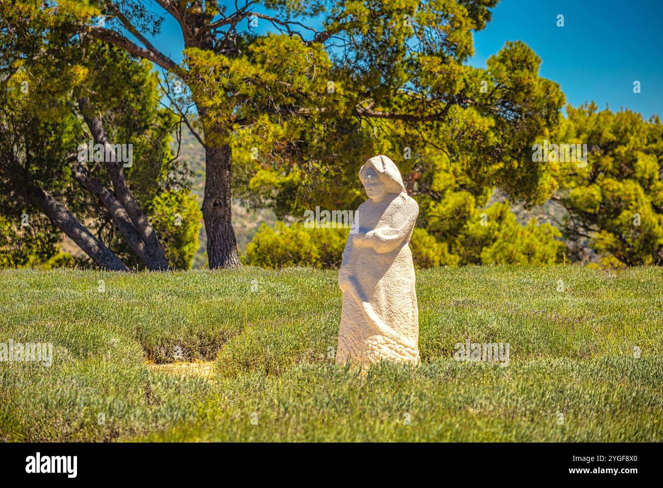 Rogoznica lavender labyrinth statue hi-res stock photography and images ...