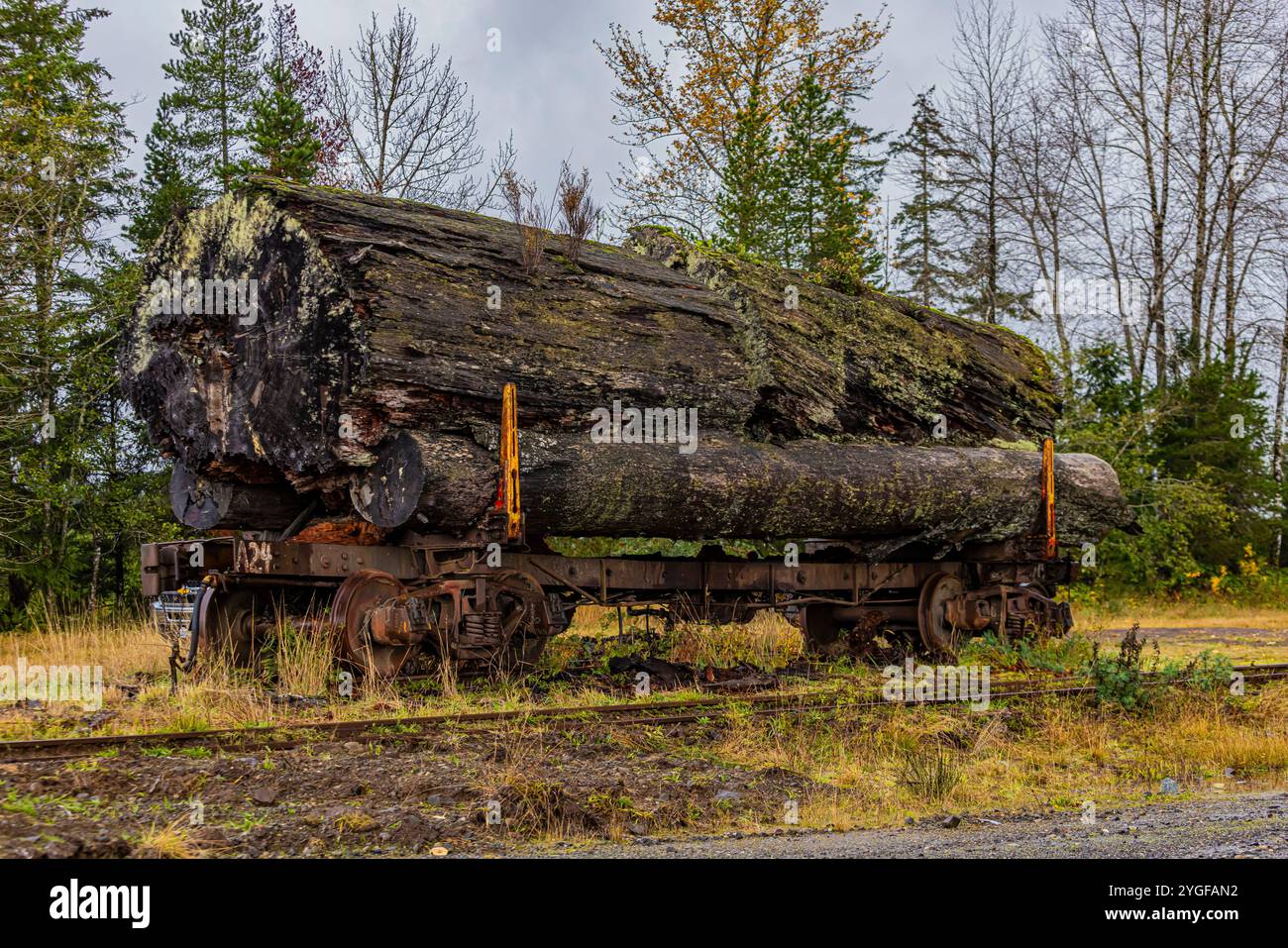 Historic Simpson Railroad that once took logs out of the Olympic ...