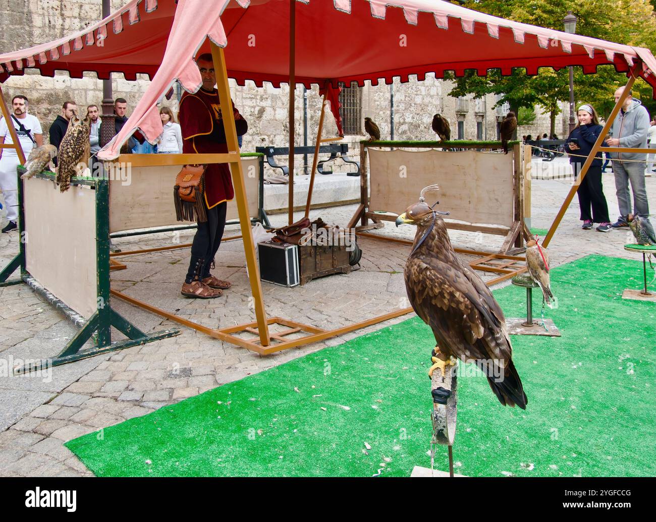 Bird handler under a gazebo with a display of birds of prey at the El ...