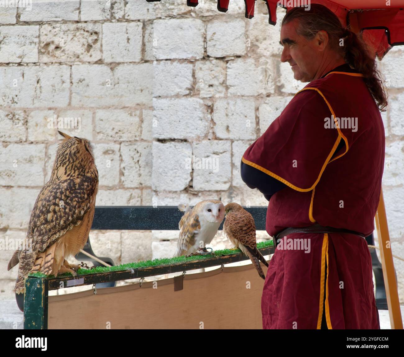 Medieval falconry hi-res stock photography and images - Alamy