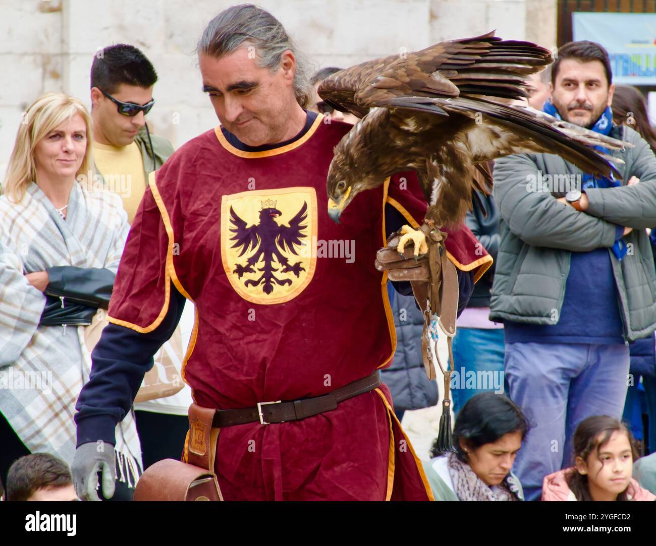 A bird handler in medieval costume with a golden eagle Aquila ...