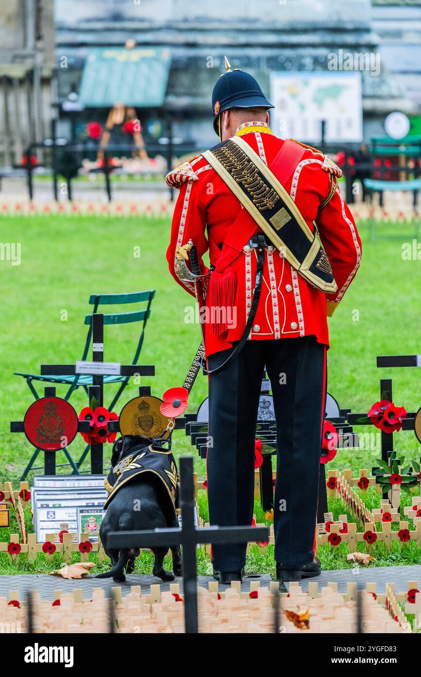London, UK. 7th Nov, 2024. Watchman, a Staffordshire Bull Terrier, and ...