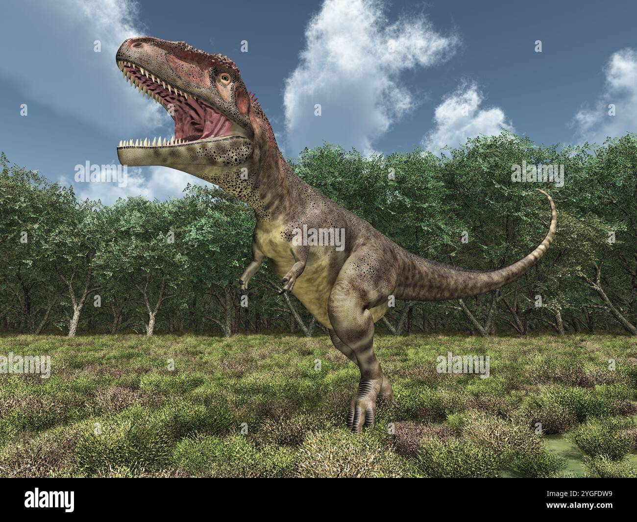 Mapusaurus hi-res stock photography and images - Alamy