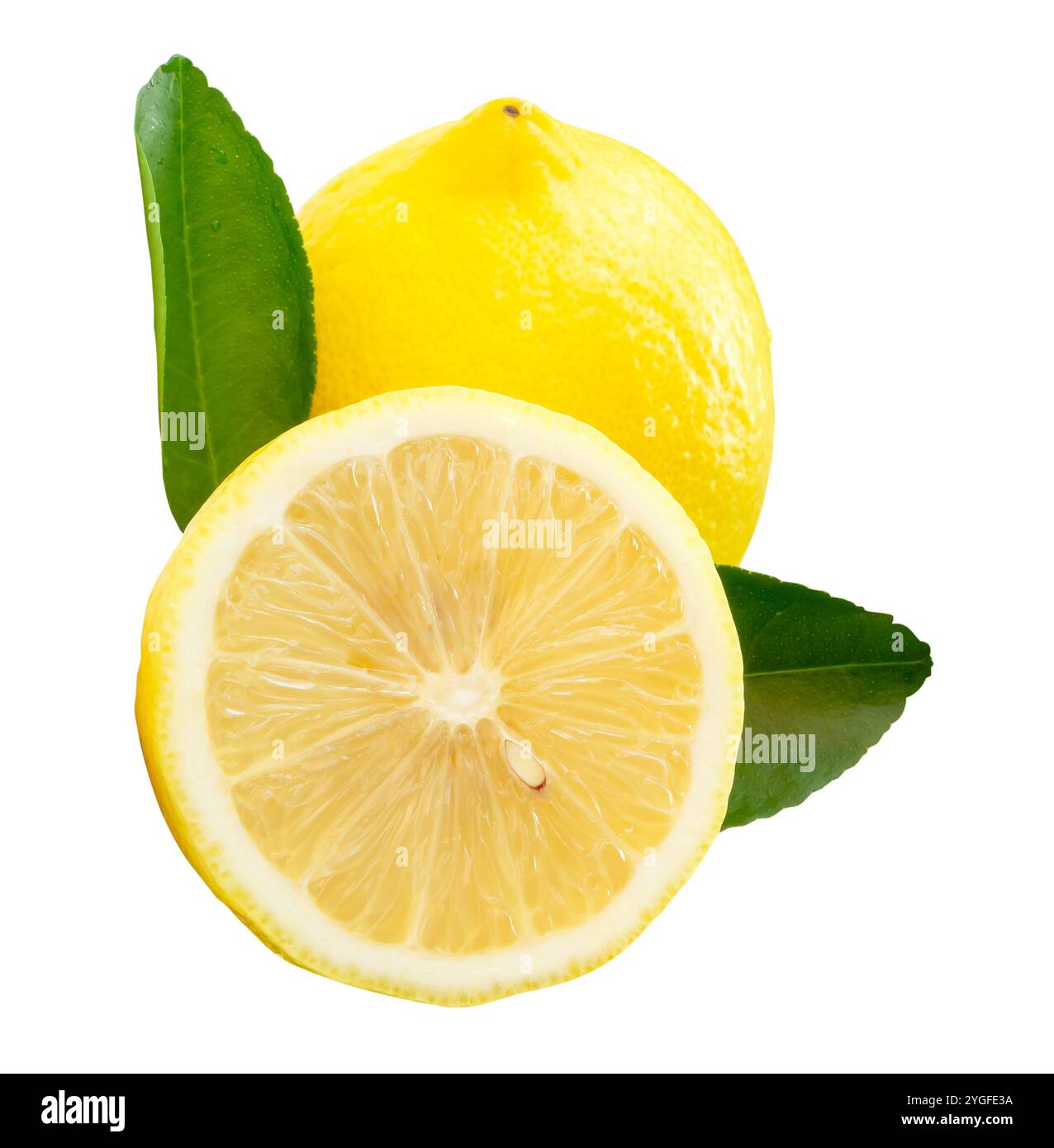 Top view of yellow lemon fruit with half slice and green leaves is ...