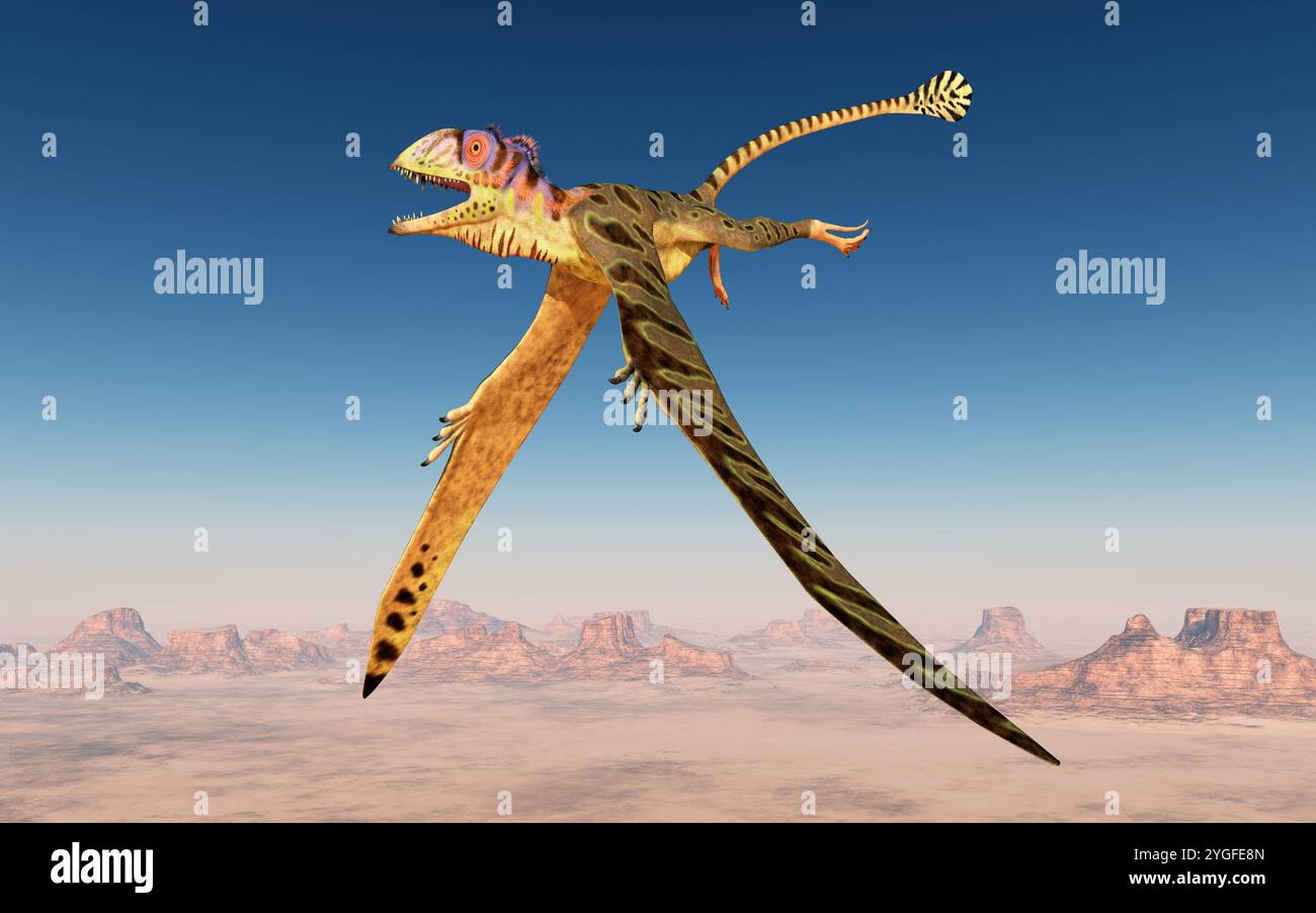 Pterosaur Peteinosaurus flying over a desert Stock Photo - Alamy