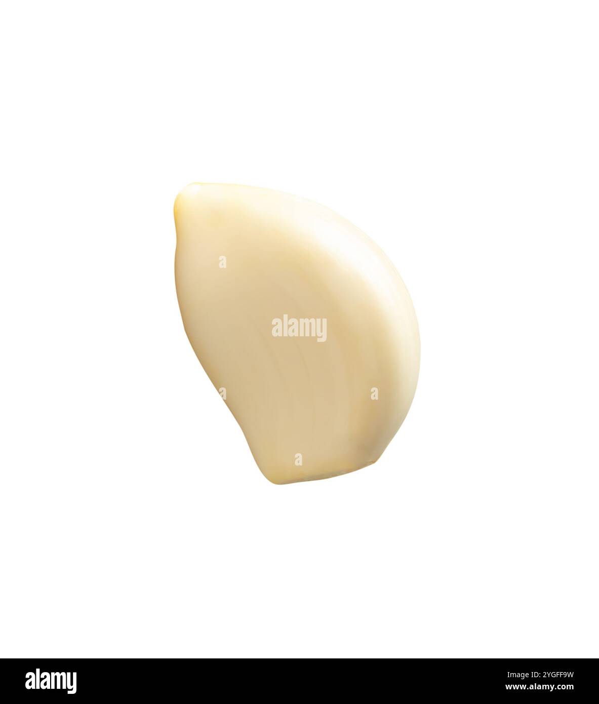 Side view of peeled garlic clove is isolated on white background with ...