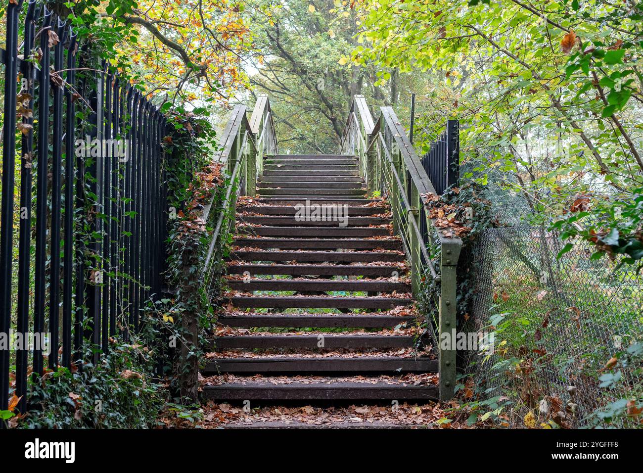 Steps up to a footbridge over a railway line with autumn leaves in ...