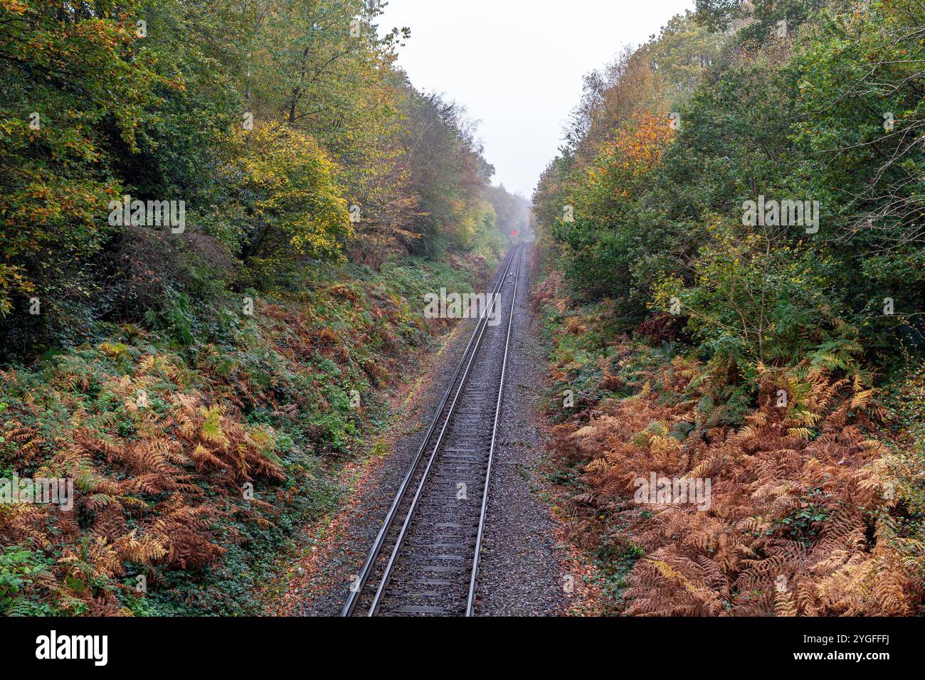 November trees hi-res stock photography and images - Alamy