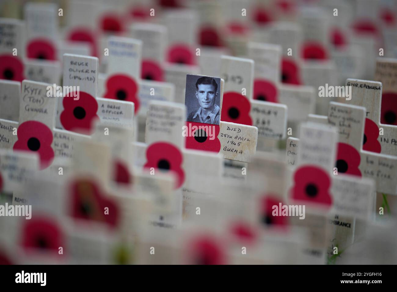 Wooden tokens of remembrance are placed at the Field of Remembrance at ...