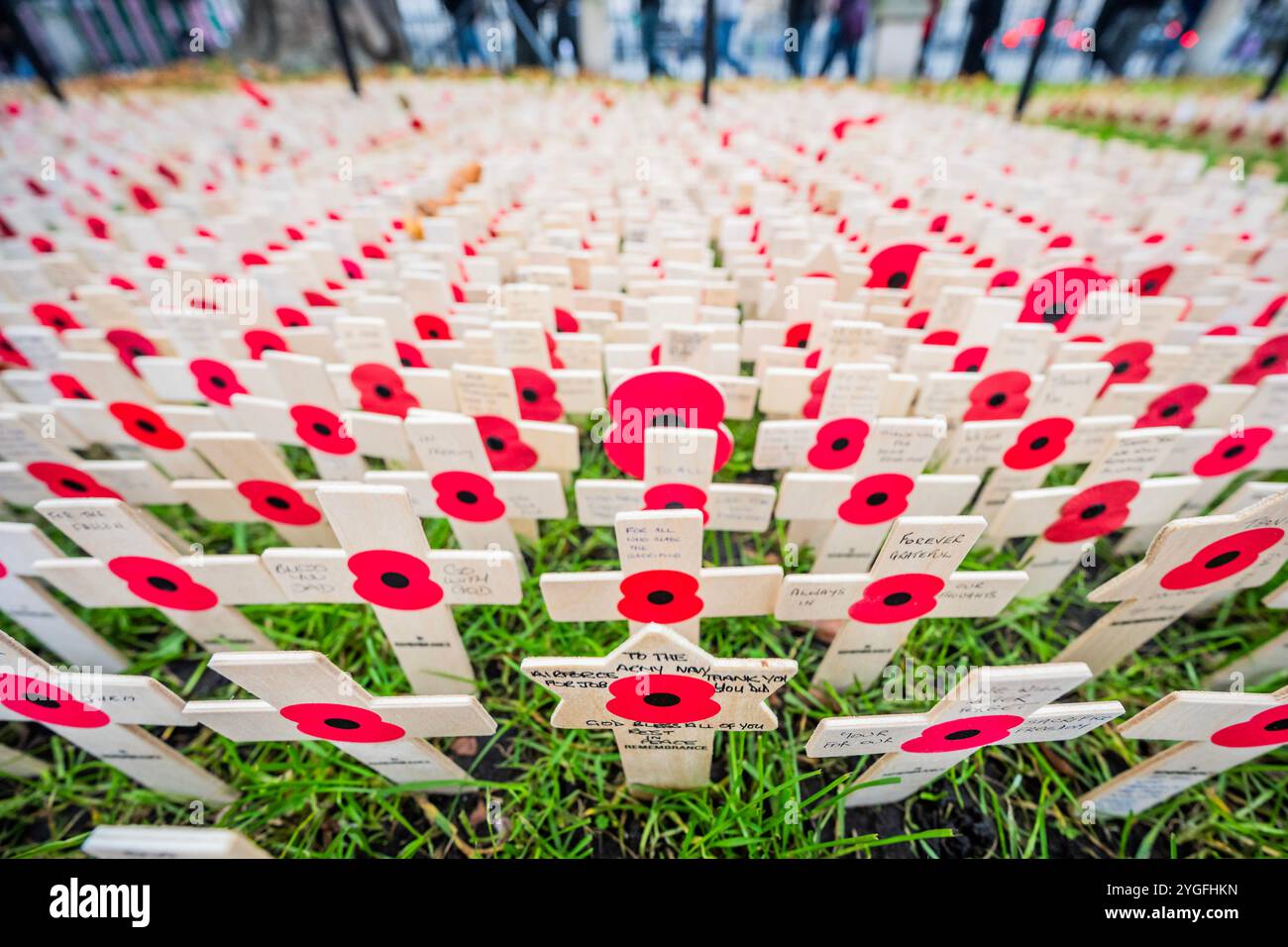 London, UK. 7th Nov, 2024. The Field of Remembrance opens at ...