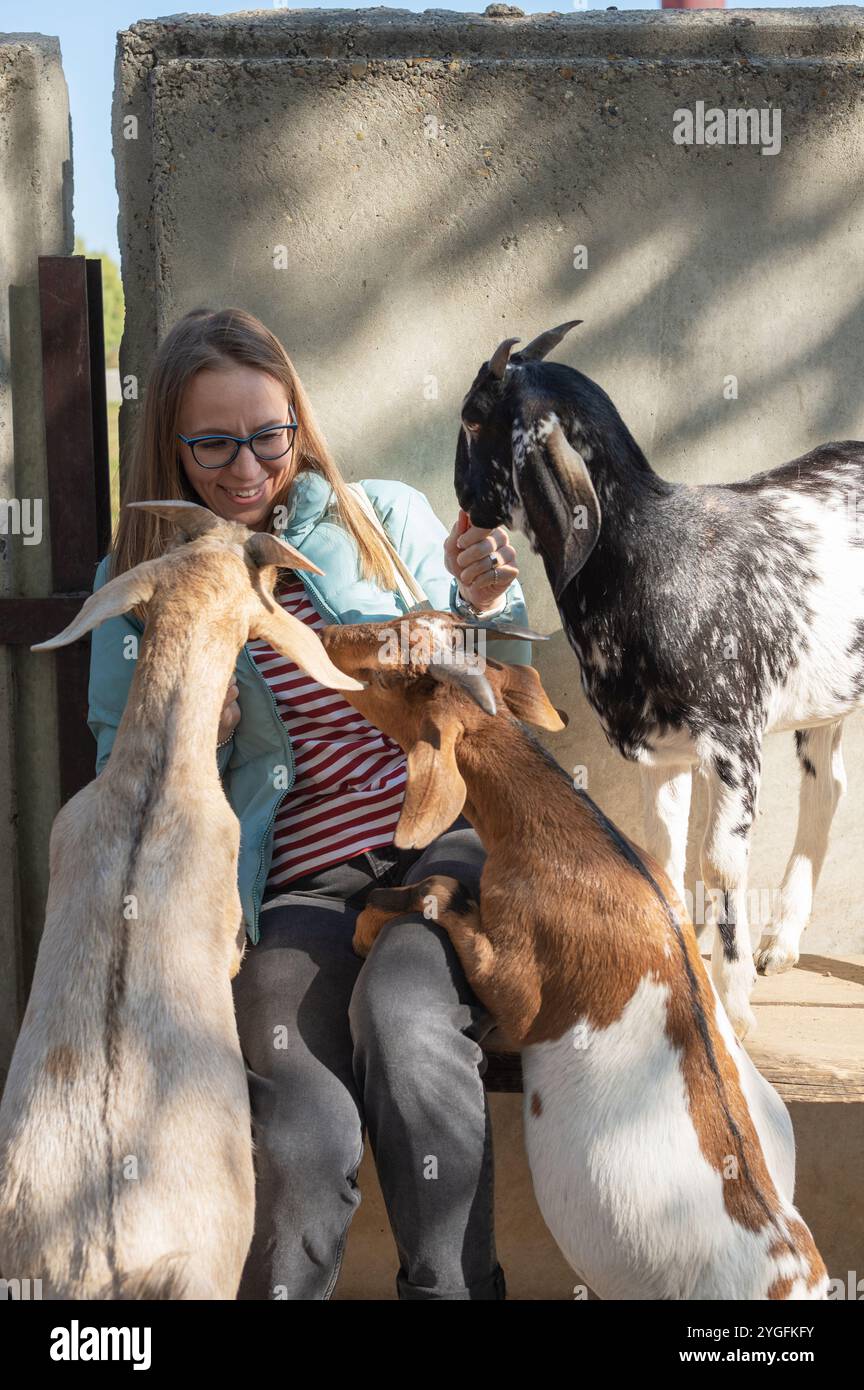 A woman interacts with friendly goats at an animal farm, feeding them ...