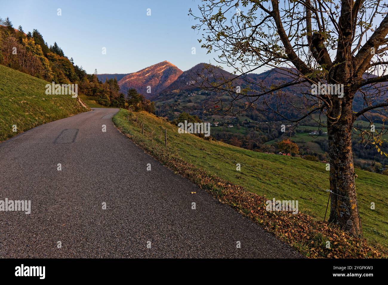 Chartreuse scenic hi-res stock photography and images - Alamy
