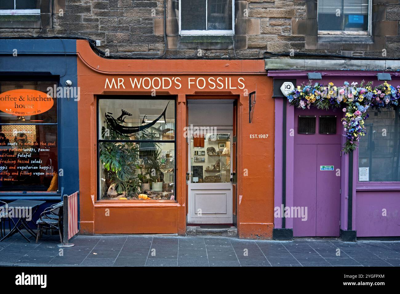 Edinburghs famous fossil shop hi-res stock photography and images - Alamy