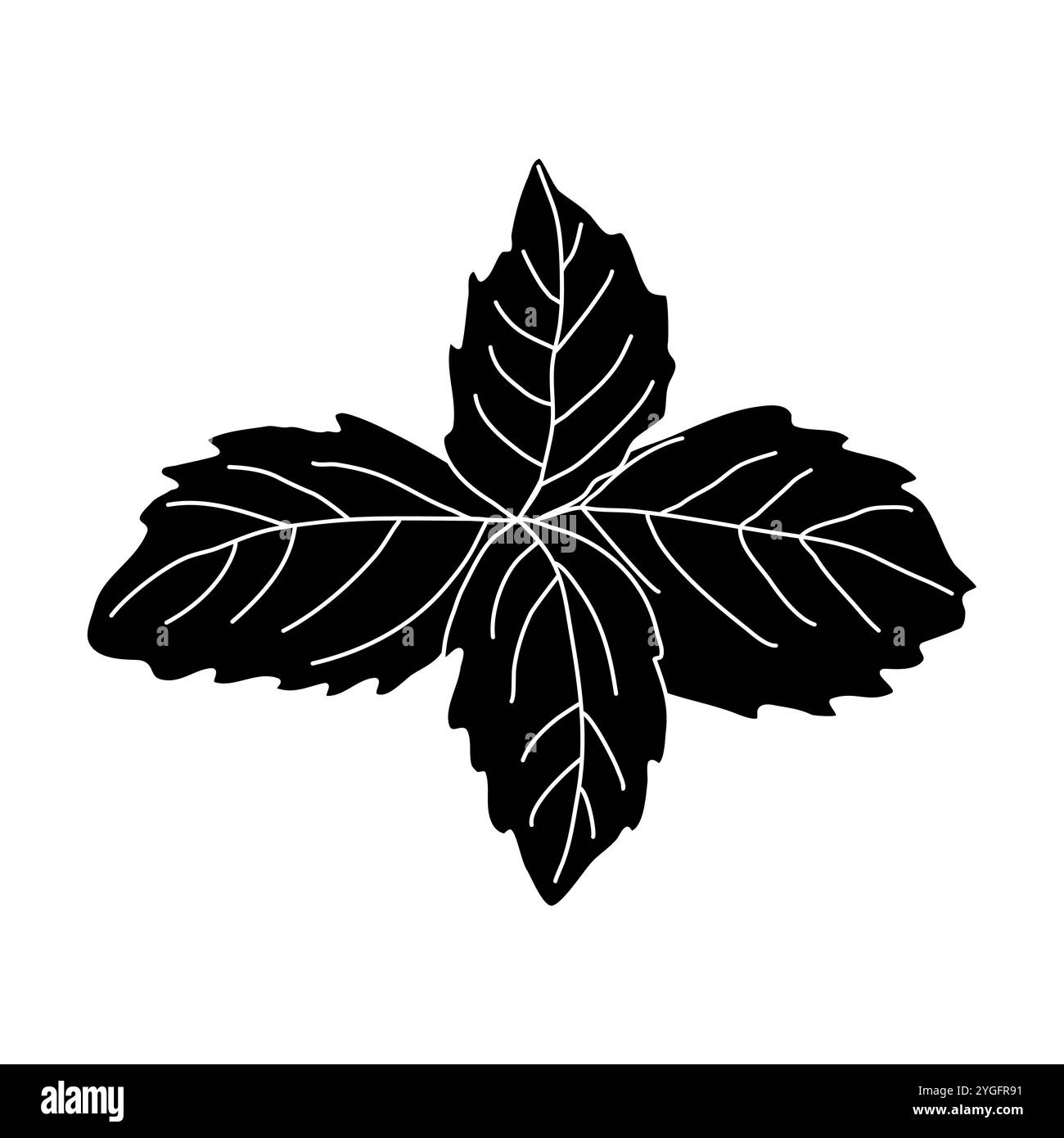 Black silhouette of basil leaves, glyph icon flat vector illustration ...