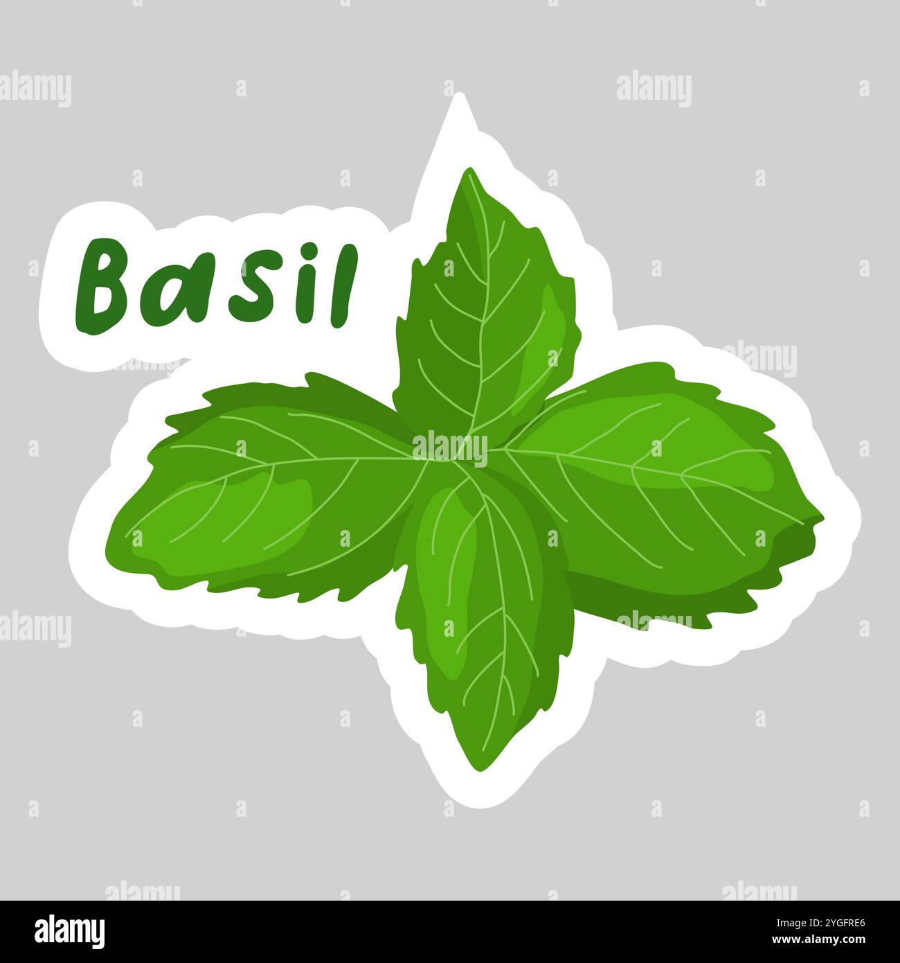 Sticker with basil leaves, vector illustration Stock Vector Image & Art ...