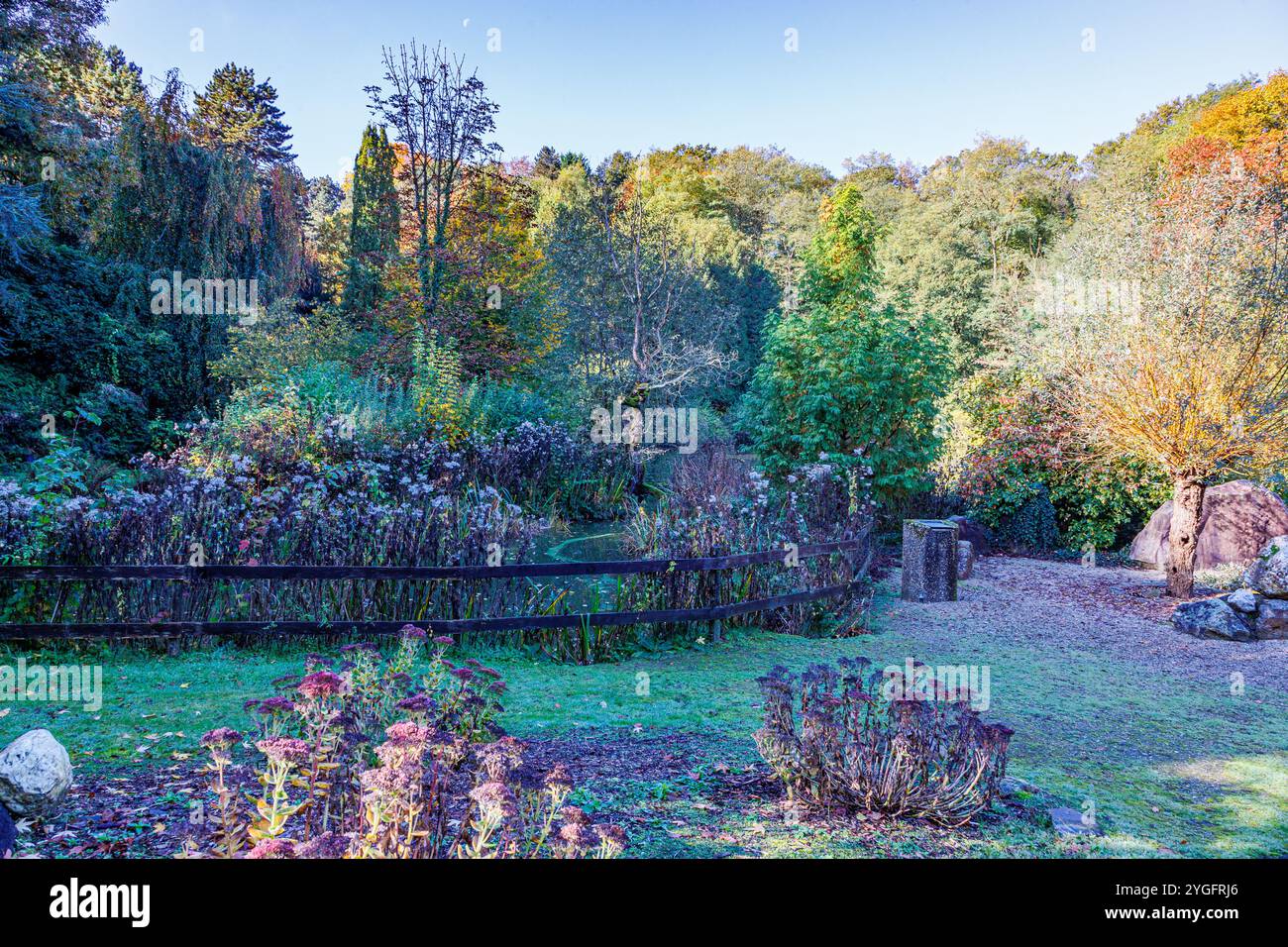 Wild bushes on green grass in shade in Willy-Dohmen-Park, trees with ...