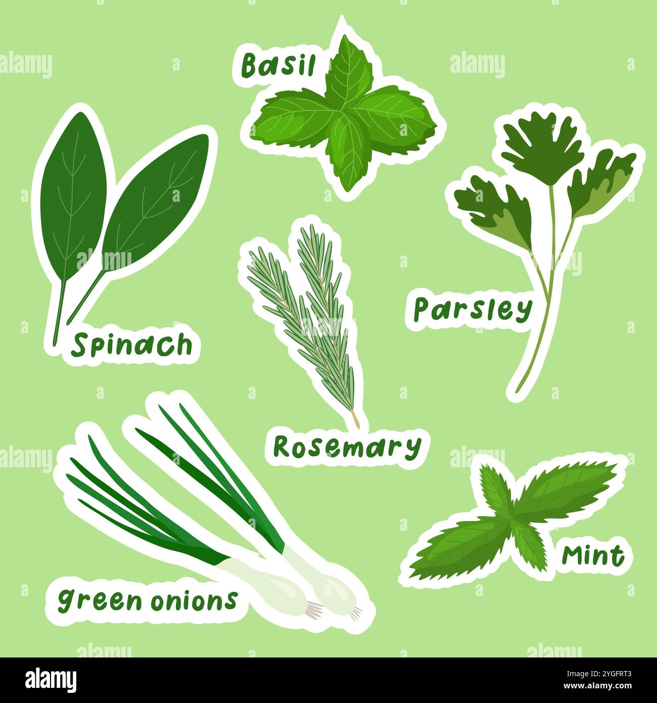 Set of stickers with various edible herbs and greens for cooking ...