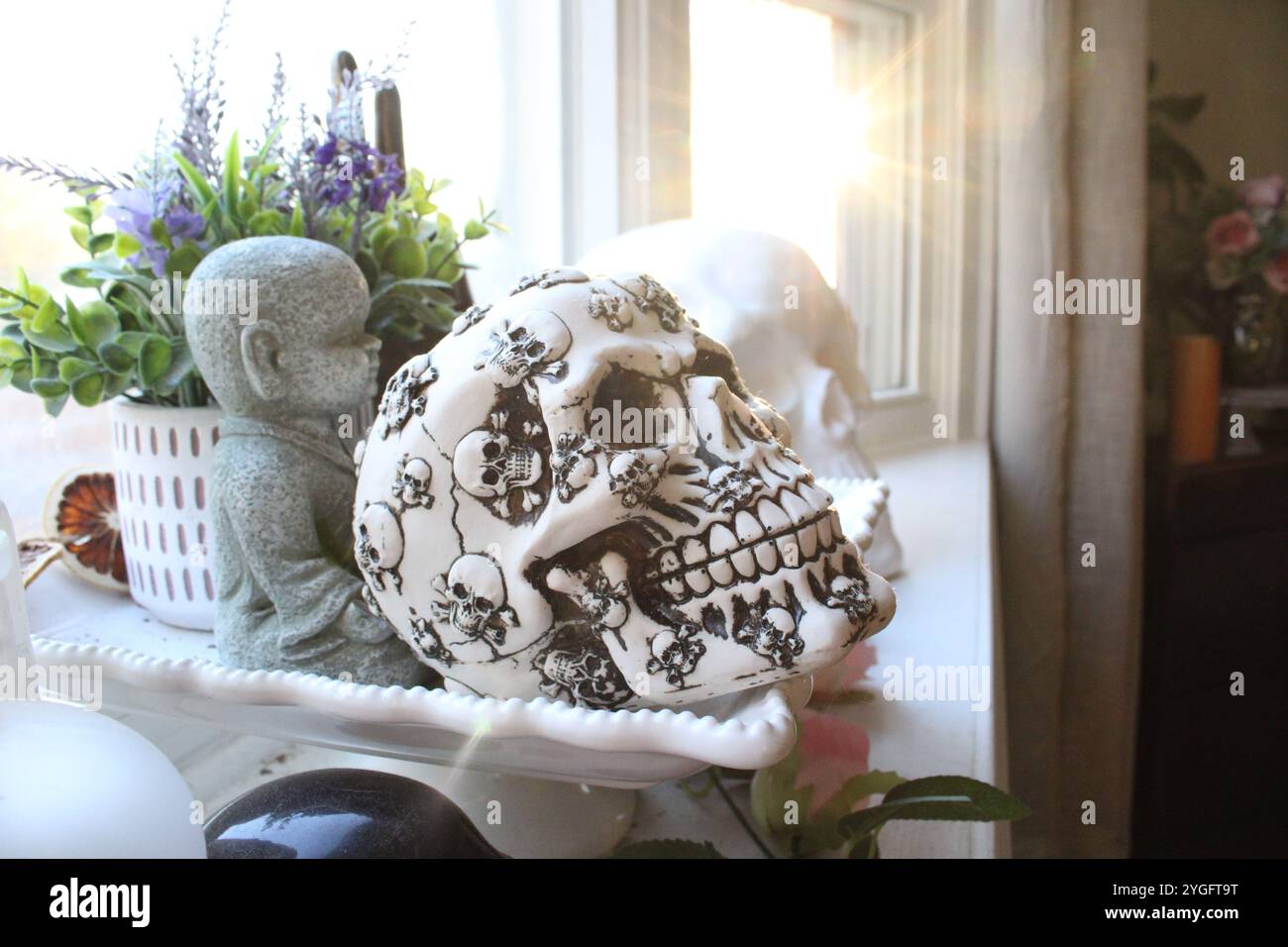 Skull zen vibes hi-res stock photography and images - Alamy