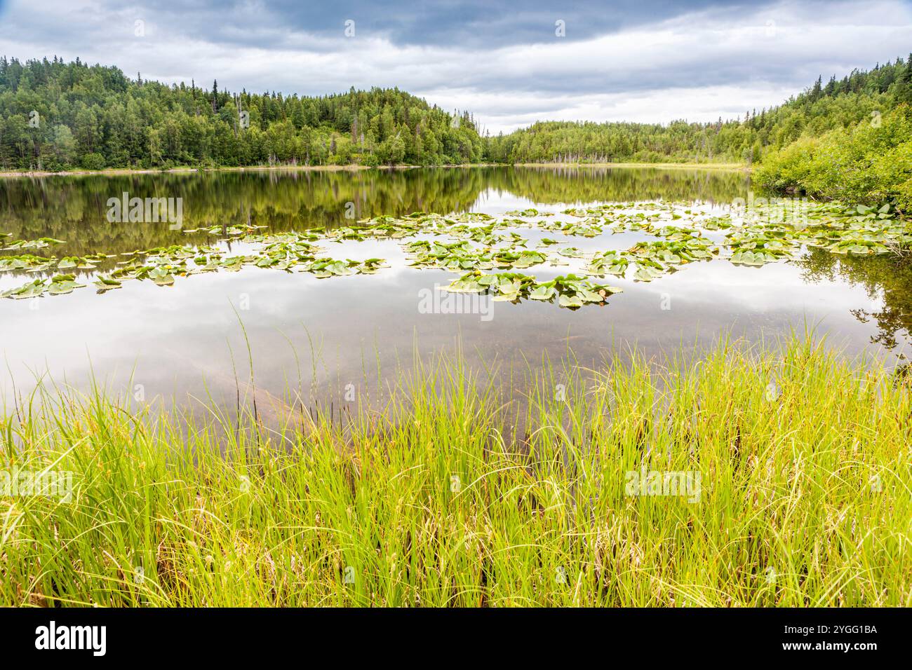 Rock Lake, Skilak Wildlife Recreation Area, Kenai Peninsula, Alaska, U ...