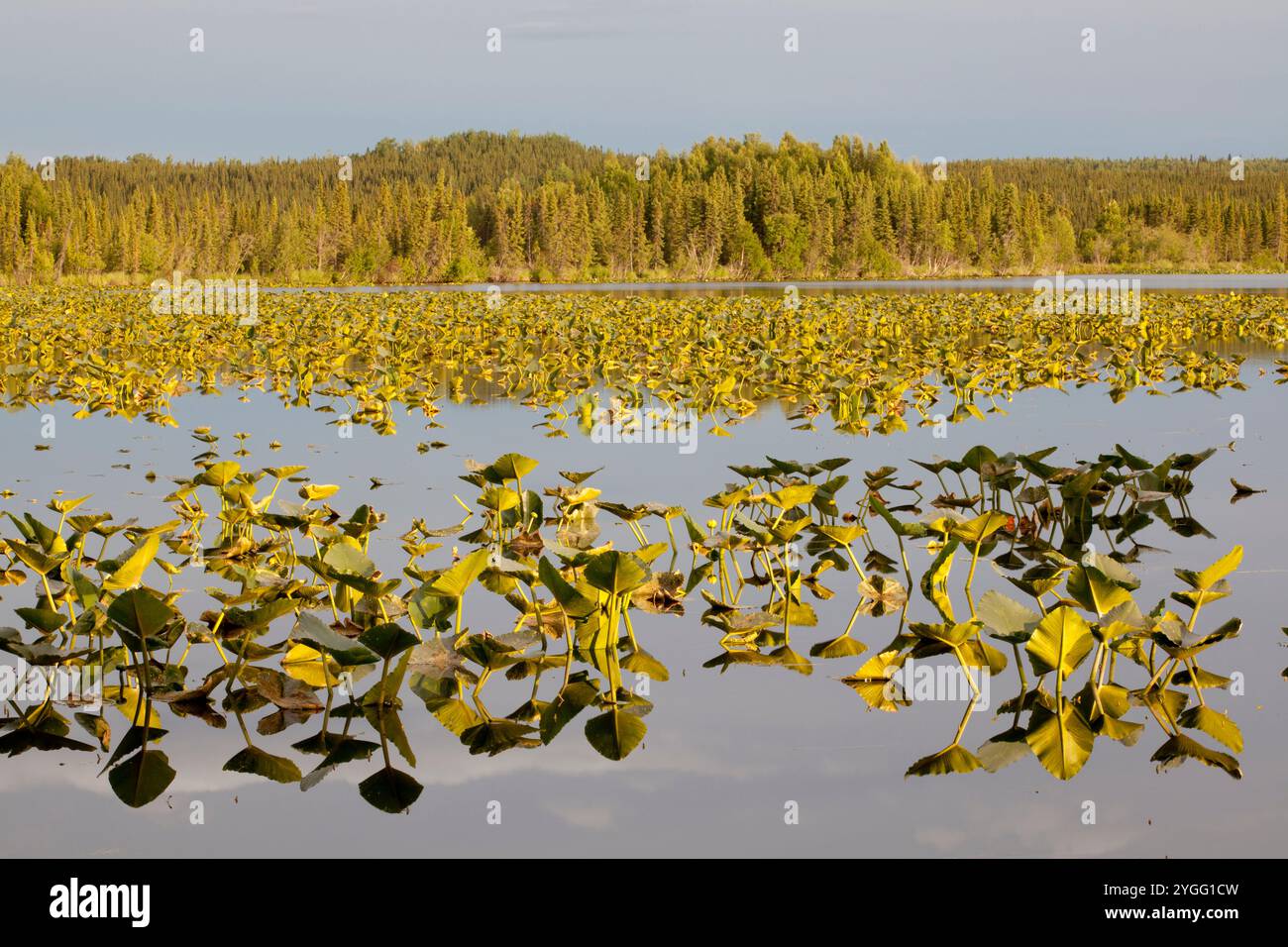 Watson Lake, Skilak Wildlife Recreation Area, Kenai Peninsula, Alaska ...