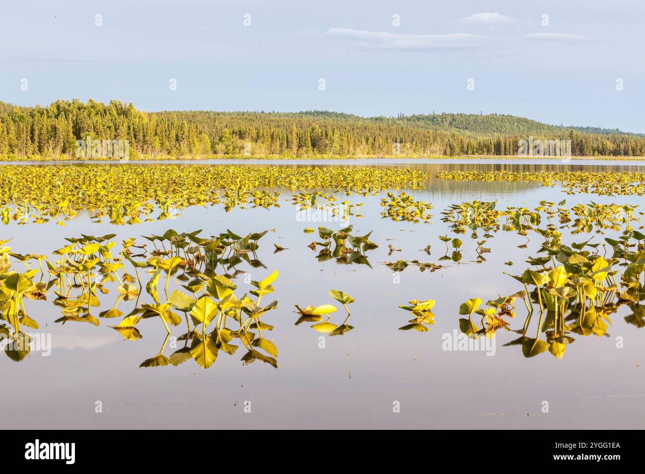 Watson Lake, Skilak Wildlife Recreation Area, Kenai Peninsula, Alaska ...