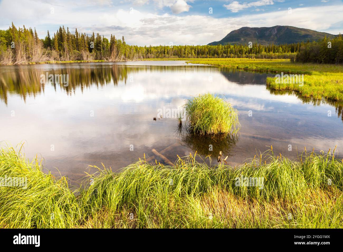 Chitina hi-res stock photography and images - Alamy