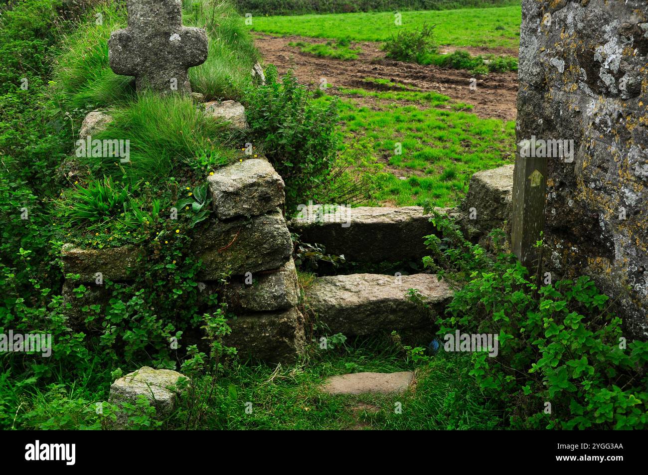 Cattle proof stile hi-res stock photography and images - Alamy