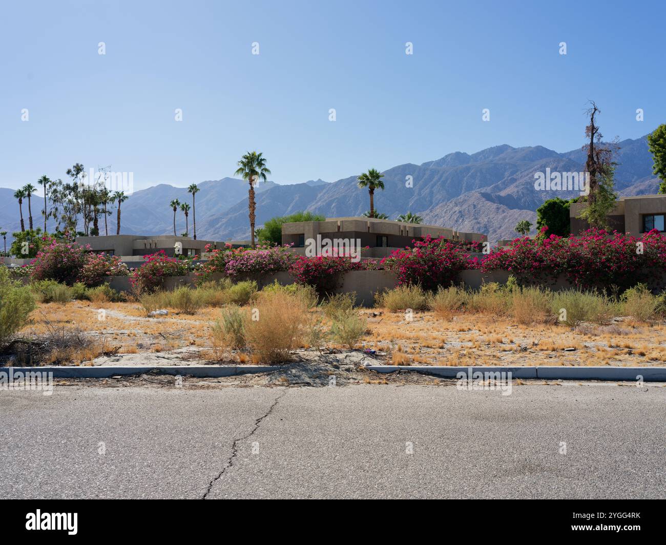 Desert landscape in suburban settings, Palm Springs, California Stock ...