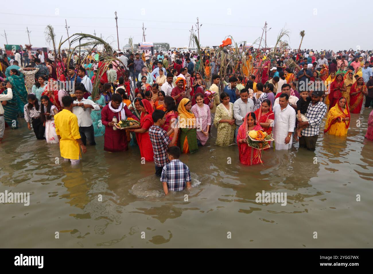 Prayagraj, India. 07 Nov 2024, Indian devotees perform Chath Puja festival rituals at the bank ...