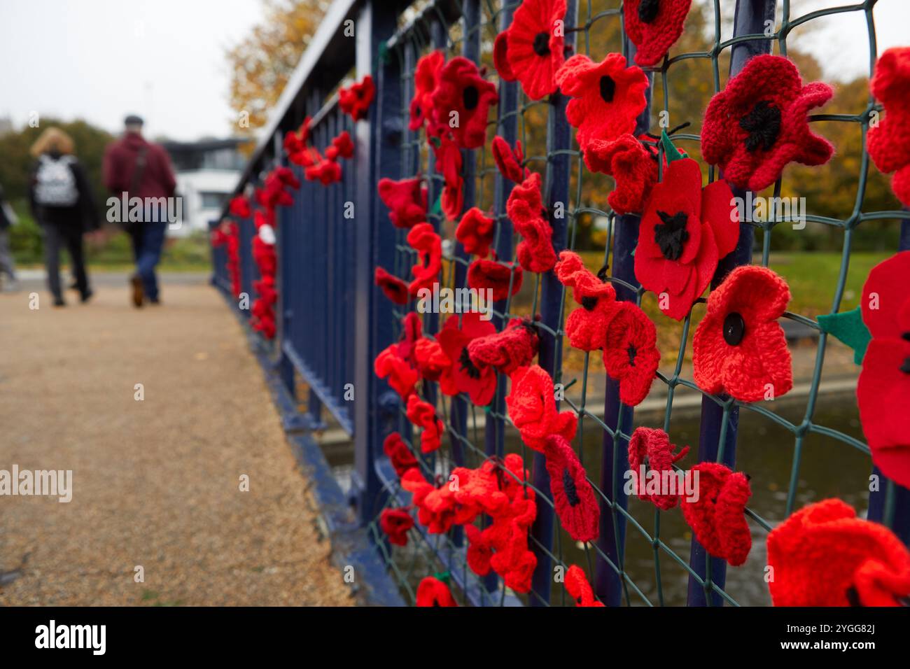 Hand knitted Poppies tied to the railings of the Ladies Walk Bridge ...