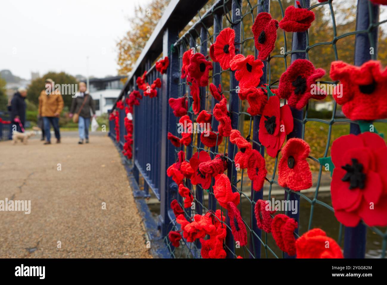 Hand knitted Poppies tied to the railings of the Ladies Walk Bridge ...
