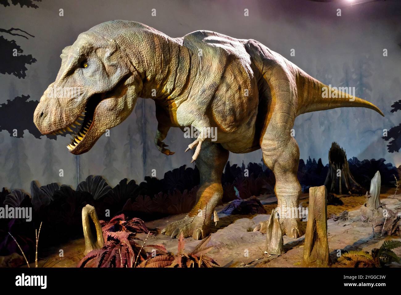 A moving animatronic model of a Tyrannosaurus Rex dinosaur in the ...