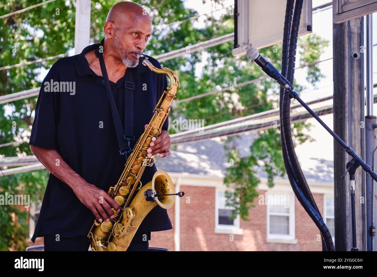 Stacy wind hi-res stock photography and images - Alamy