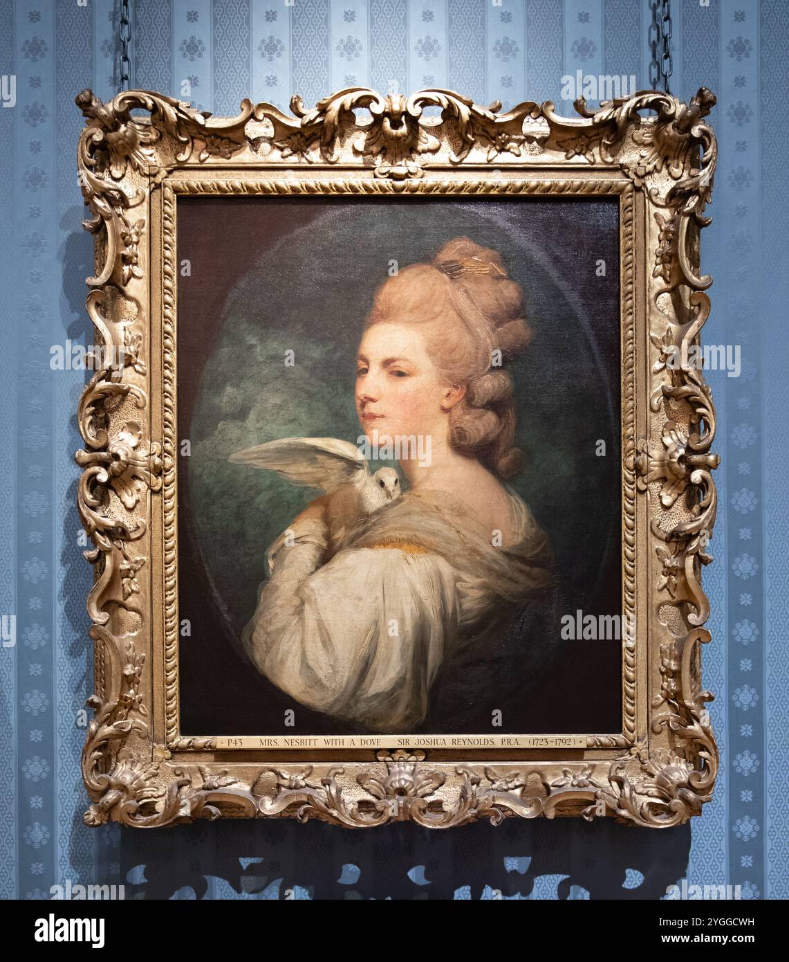 Nesbitt family hi-res stock photography and images - Alamy