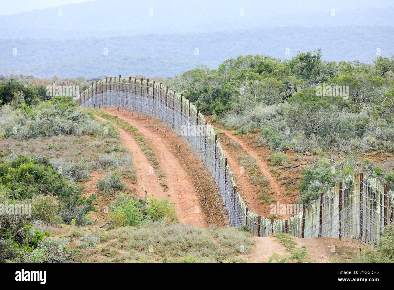 Elephant proof fence hi-res stock photography and images - Alamy