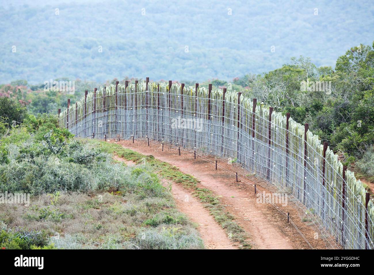 Elephant proof fence, Addo Elephant National Park, South Africa Stock ...