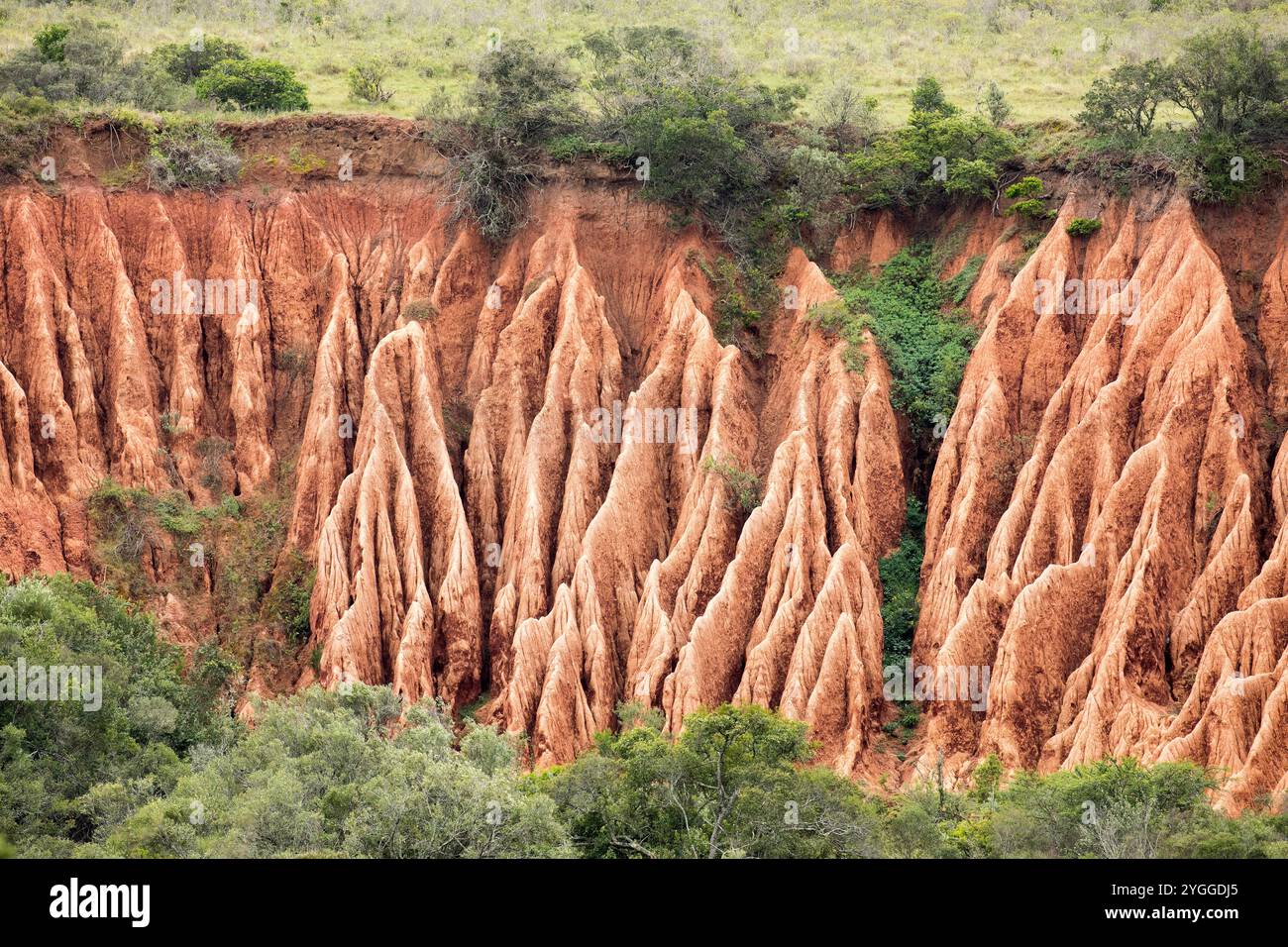 Animal erosion hi-res stock photography and images - Alamy