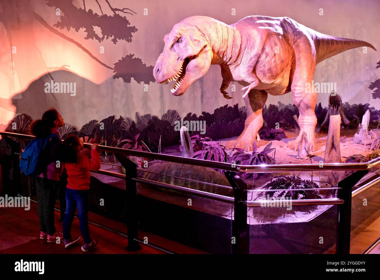 A moving animatronic model of a Tyrannosaurus Rex dinosaur in the Natural History Museum, London ...