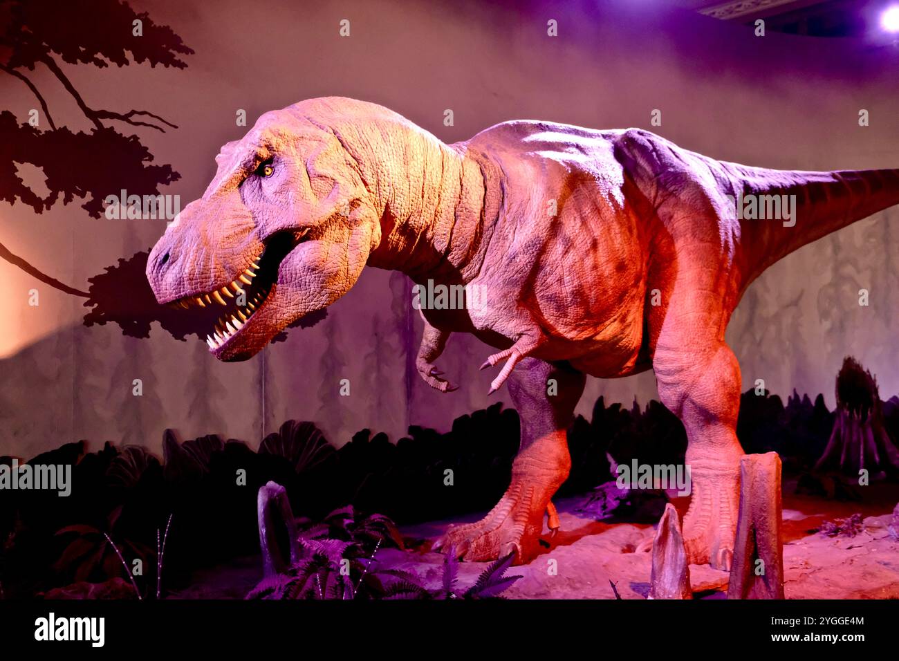 A moving animatronic model of a Tyrannosaurus Rex dinosaur in the ...